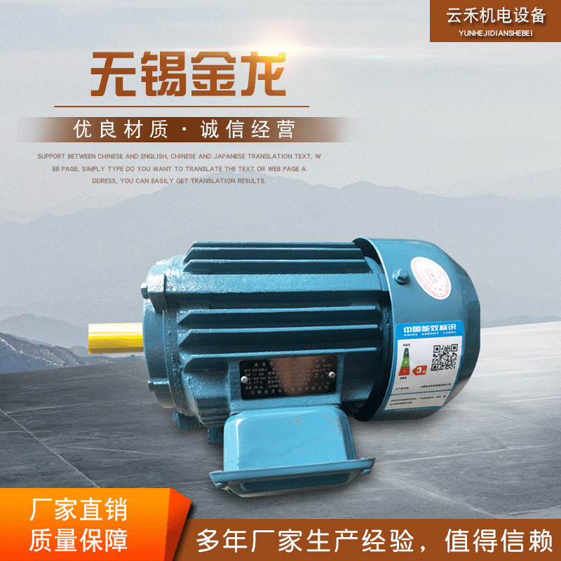 มอเตอร์มังกรทอง YE2ซีรีส์มอเตอร์เบรก มอเตอร์แปลงความถี่ IJCO | Shopee ...