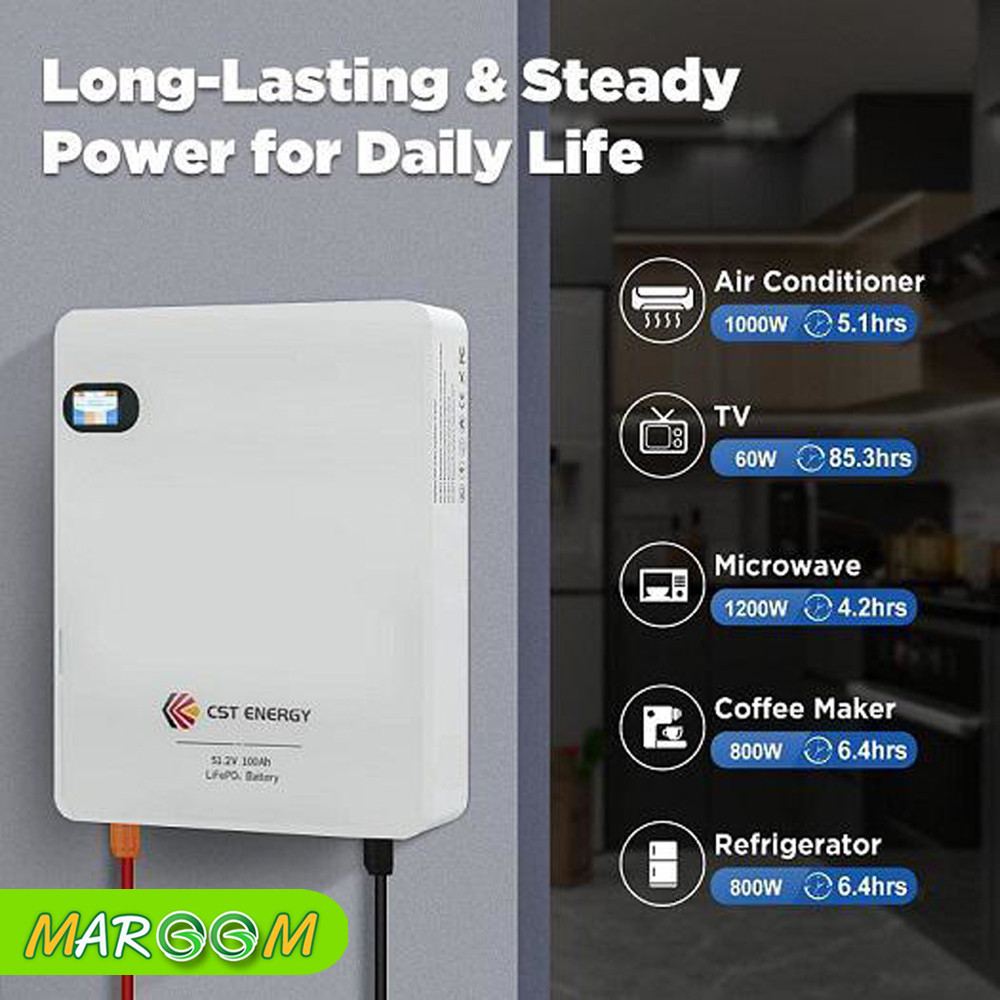CST ENERGY 51.2V 100Ah Home Wall Mounted Lithium Iron Phosphate Battery ...