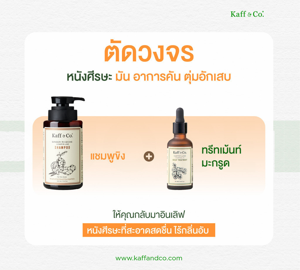 Kaff & Co. ลดปัญหาหัวมัน หนังศีรษะคัน ตุ่มอักเสบ แชมพูขิง 40ml & ทรีทเม้นท์มะกรูด 10ml | Shopee ...