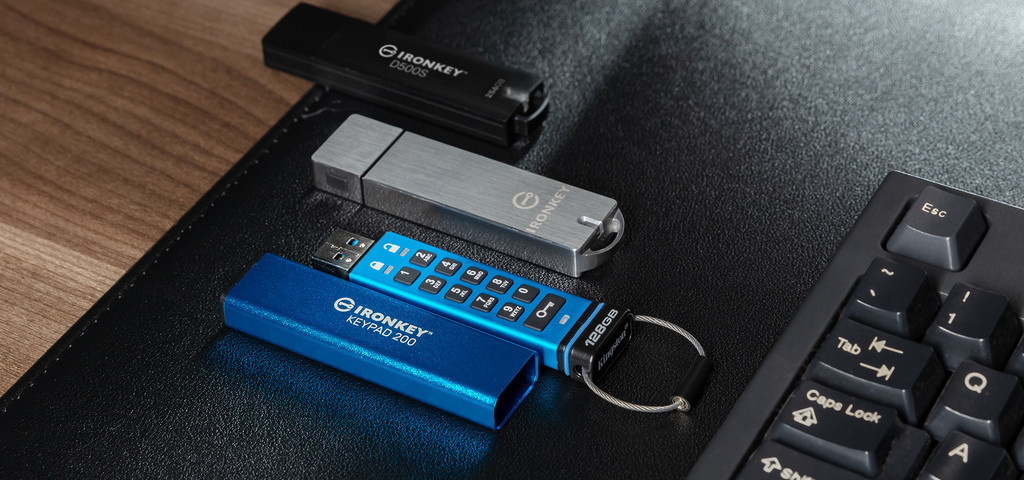 Kingston IronKey Vault USB3.2 Gen1 Flash Drive (IKVP50/256GB) | Shopee Thailand