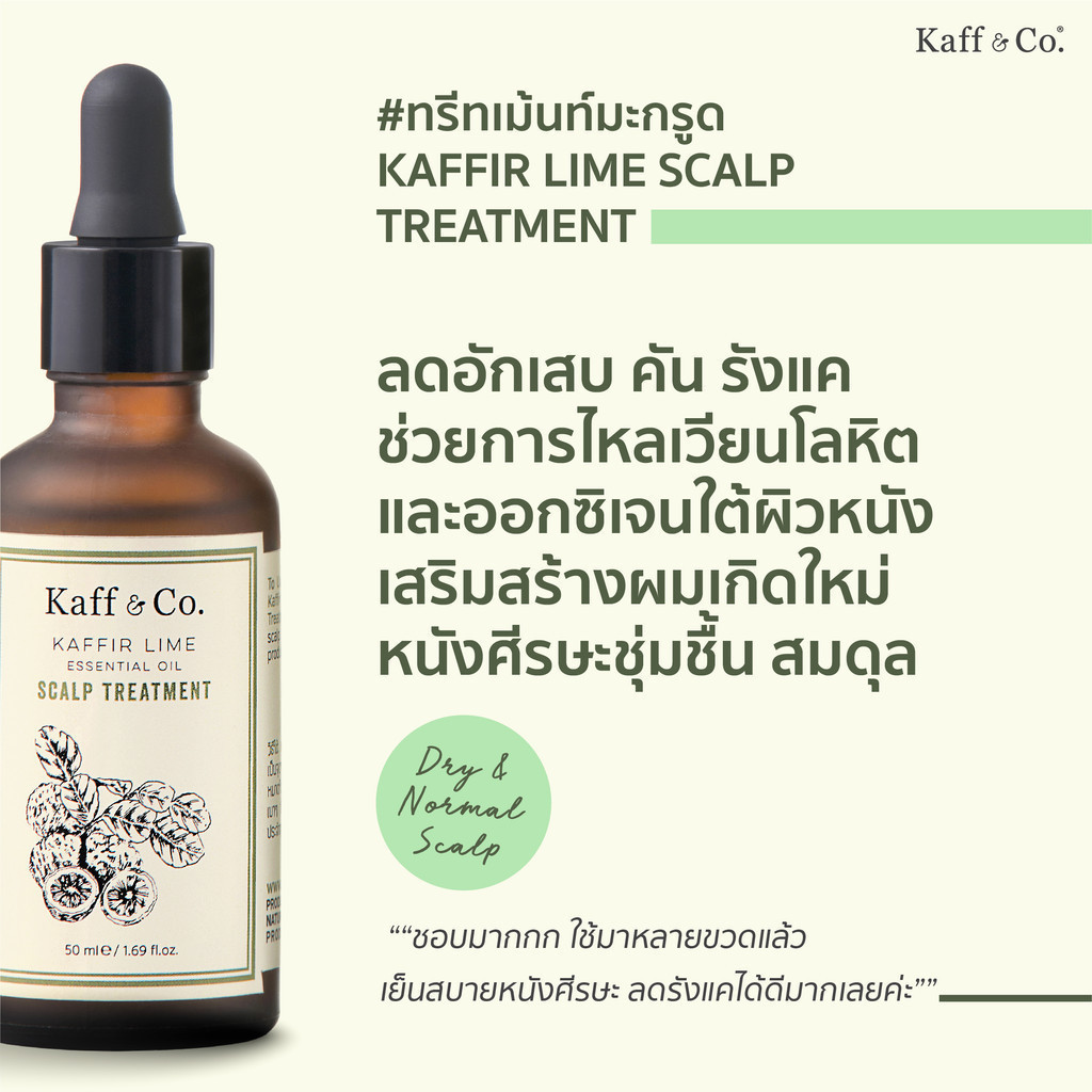 Kaff & Co. ชุดคู่ ฟื้นฟูหนังศีรษะแห้ง คัน อักเสบ มีรังแค แชมพูน้ำมันมะกรูด & ทรีทเม้นท์น้ำมัน ...