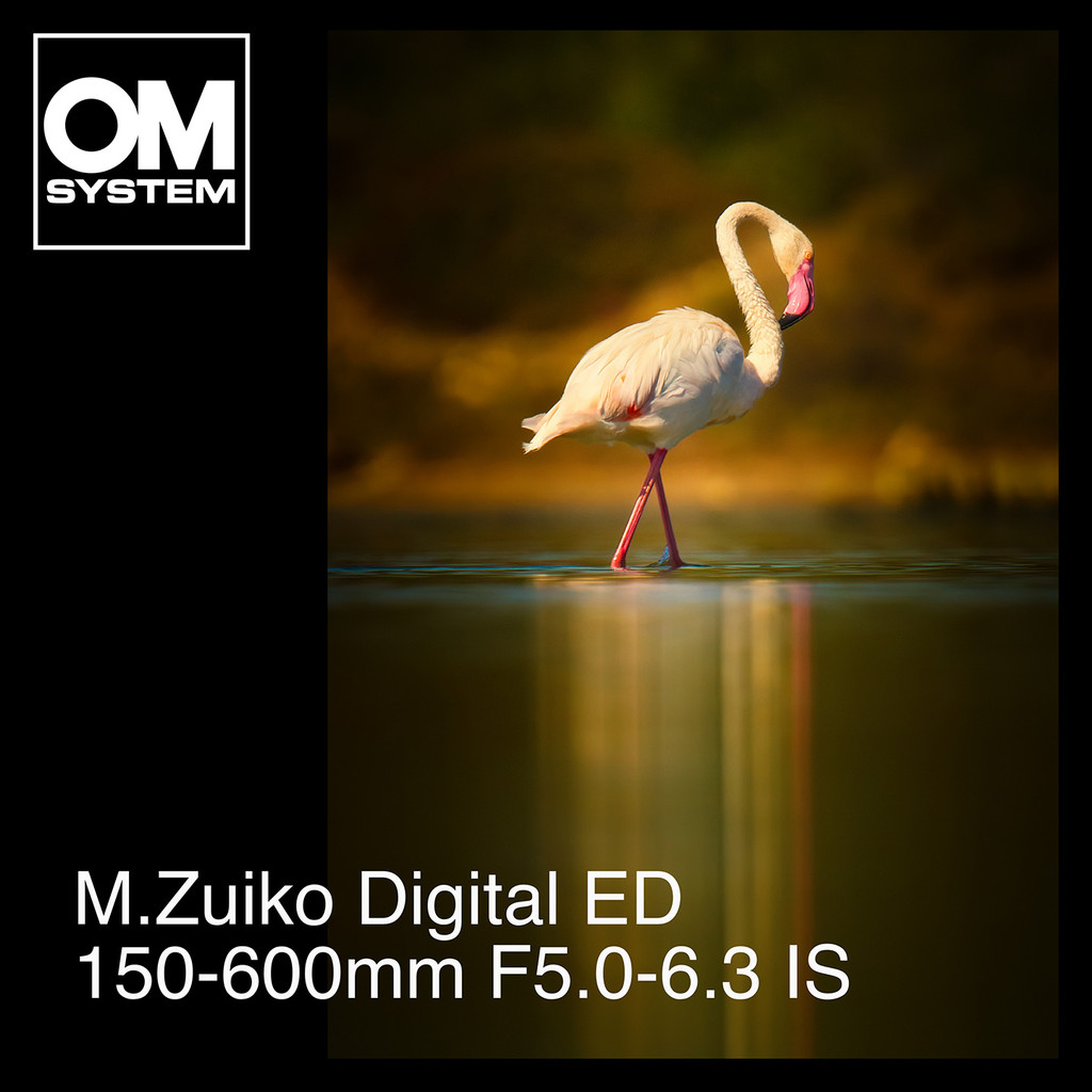 OM SYSTEM lens M.ZUIKO DIGITAL ED 150-600mm F5.0-6.3 IS เลนส์กล้อง PICCASUS | Shopee Thailand