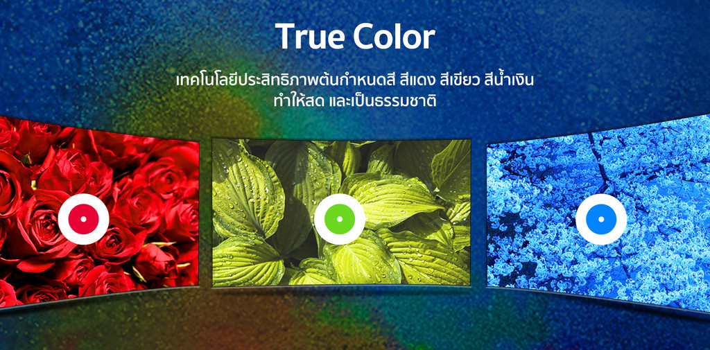 TCL ทีวี 32 นิ้ว LED HD 720P ดิจิตอลทีวี รุ่น 32D3400 - DVB-T2- AV In-HDMI-USB-Slim ตอบโจทย์ทุก ...