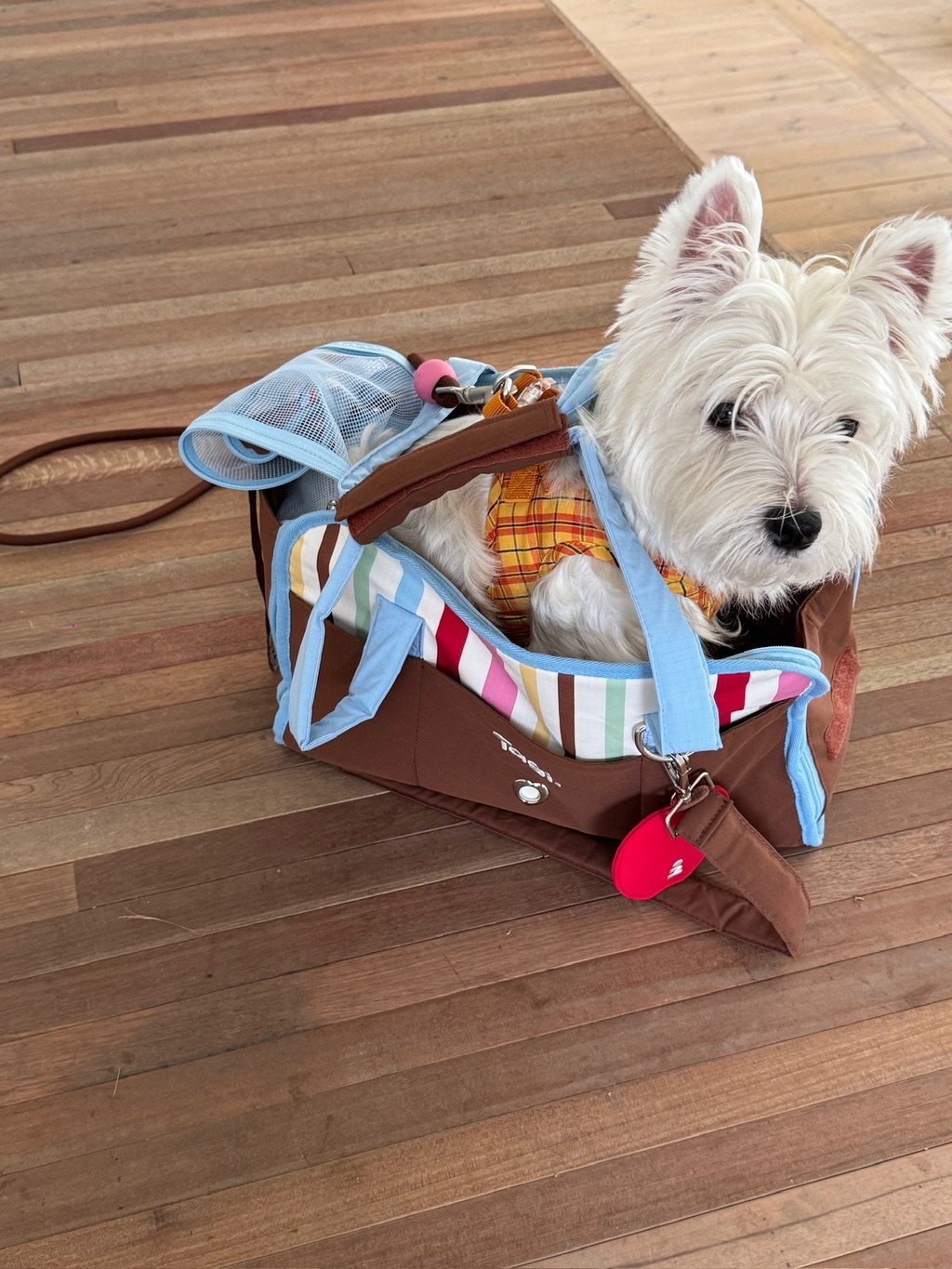 Tagi. Daily Stripe Pet Car Travel Bag กระเป๋าเดินทางในรถยนต์สําหรับ ...