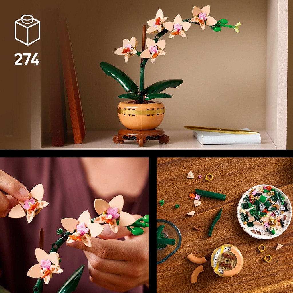 LEGO Botanicals 10343 Mini Orchid (274pcs.), Building Blocks, Kids Toy ...