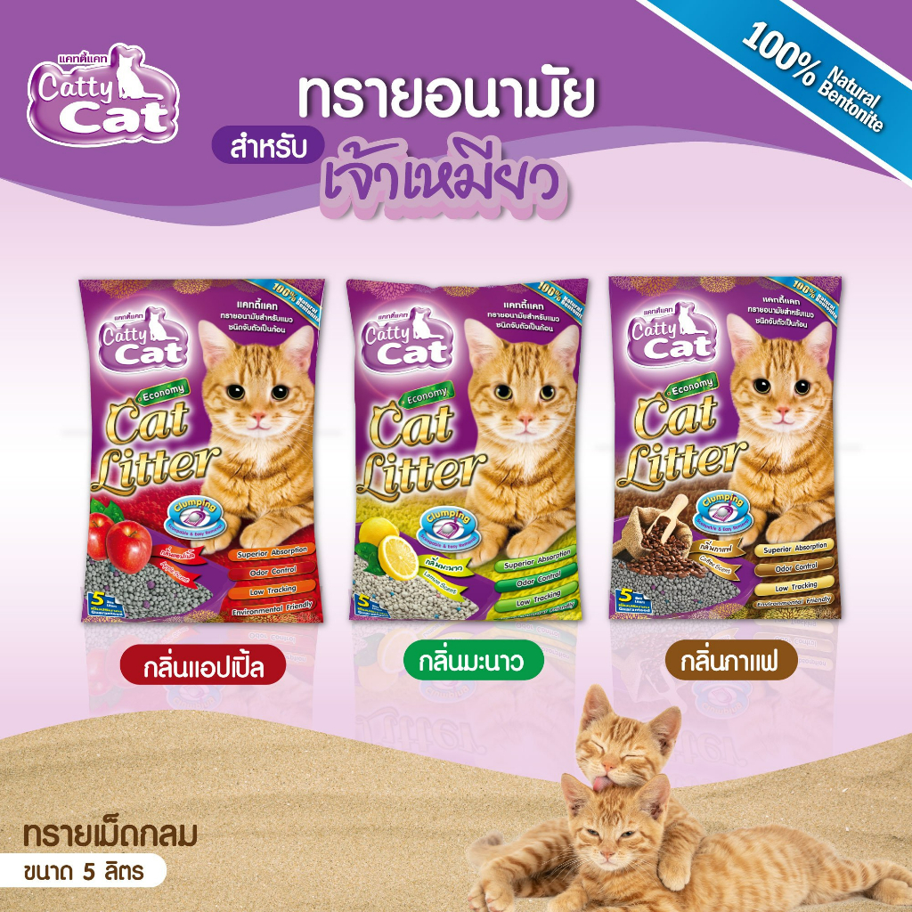 ทรายแมว Catty Cat 5ลิตร | Shopee Thailand