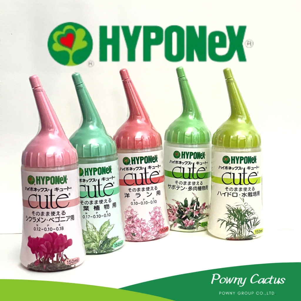 ปุ๋ยปัก ปุ๋ยน้ำ Hyponex Ampoule ปักลงกระถาง บำรุงต้นไม้ ปุ๋ยน้ำญี่ปุ่น | Shopee Thailand