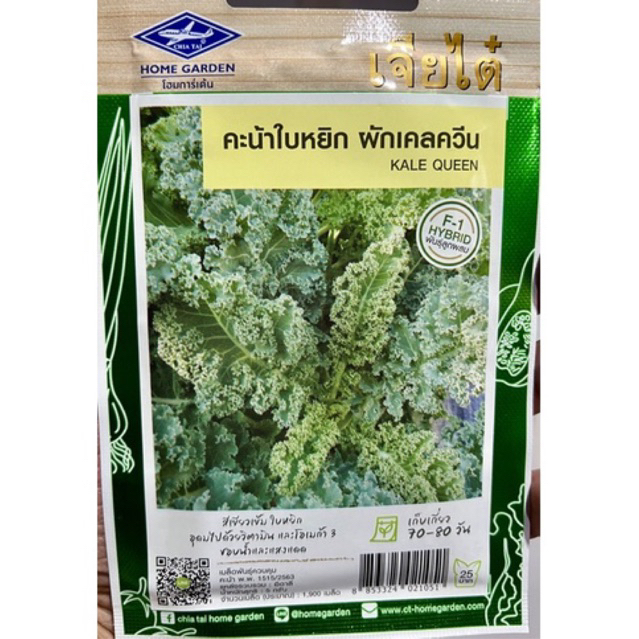 เคล ควีน คะน้าใบหยิก kale Queen (1900 เมล็ด) | Shopee Thailand