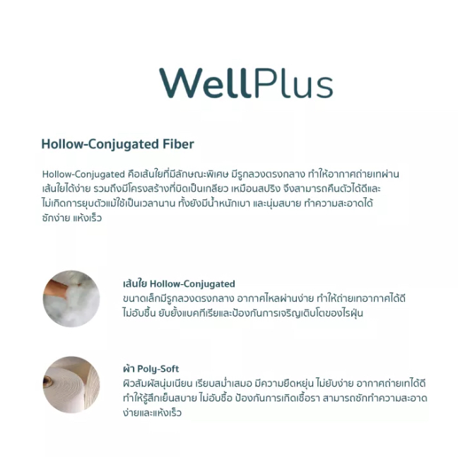 WellPlus Topper Conjugated Siliconized Fiber รุ่น ZPlus O2 หนา 4 นิ้ว ...