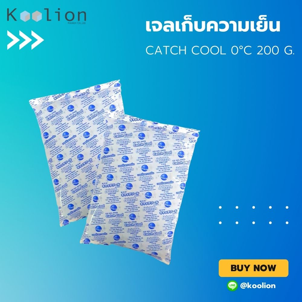 Ice Pack : Catch Cool เจลเก็บความเย็น อุณหภูมิ 0 °C ขนาด 200-1000 กรัม ...