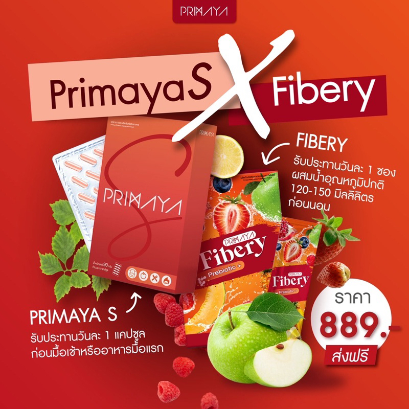 Primaya+Fibery(Primaya) | Shopee Thailand