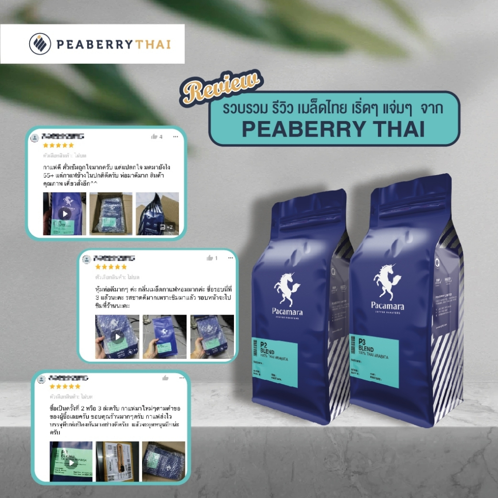 Pacamara P3 Blend 250g เมล็ดกาแฟไทย อาราบิก้า 100% คั่วเข้ม ขนาดบรรจุ 250 กรัม | Shopee Thailand