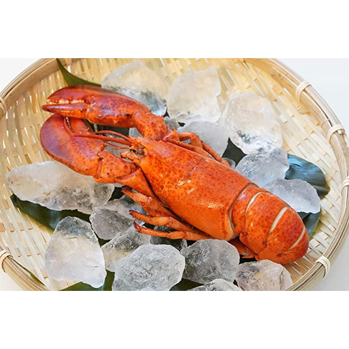 กุ้ง Canadian Lobster 500G-600G/PACK แช่แข็ง เนื้อแน่นแน่น | Shopee ...