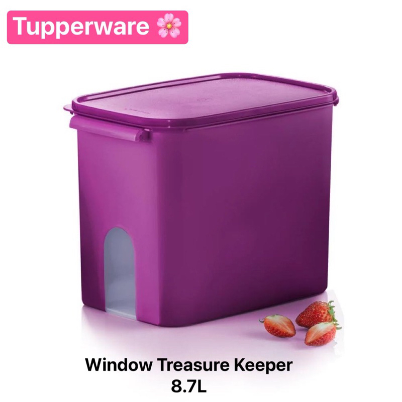 Tupperware รุ่น Window Treasure Keeper (1ใบ) 8.7L | Shopee Thailand