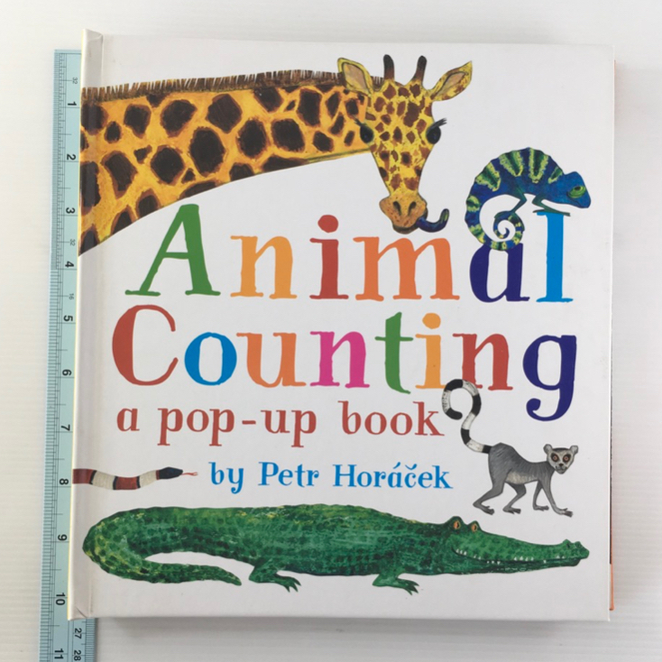Animal Counting a pop-up book หนังสือภาษาอังกฤษปกแข็งมือสองสภาพดี ...