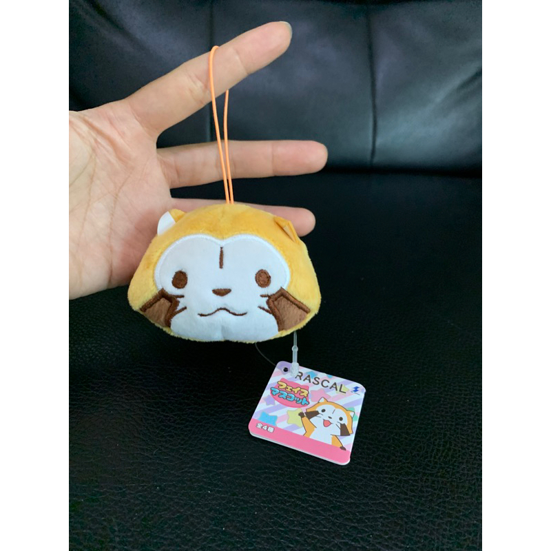 ตุ๊กตาและพวงกุญแจราสคาล rascal plush pendant งานมือสอง | Shopee Thailand