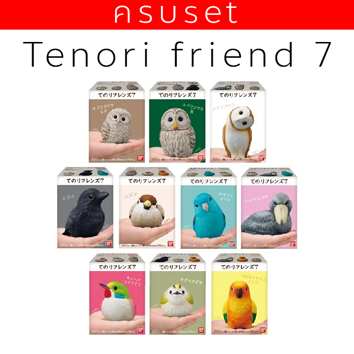 Tenori friends 7 ครบชุด | Shopee Thailand