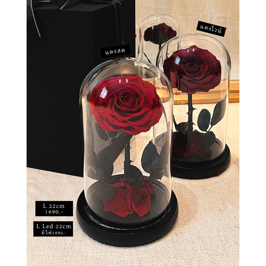 [Eternal.Rose] Size L 22ซม กุหลาบจริงในโหลแก้ว เก็บได้นาน5-10ปี กุหลาบ ...