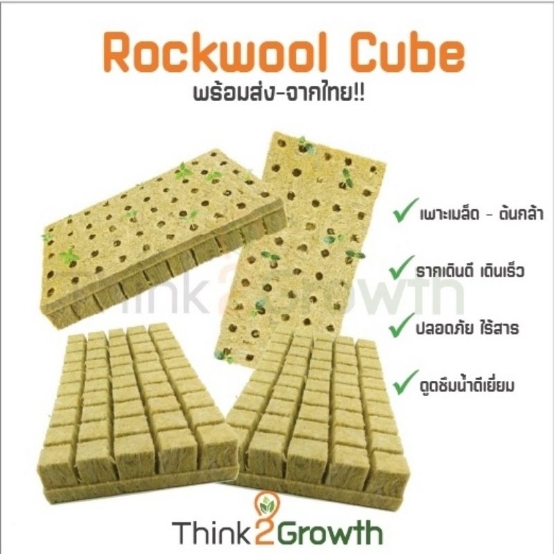 พร้อมส่ง Rockwool Cube วัสดุปลูก ที่นิยมสำหรับผู้ปลูกแบบไฮโดรโปนิกส์ ...