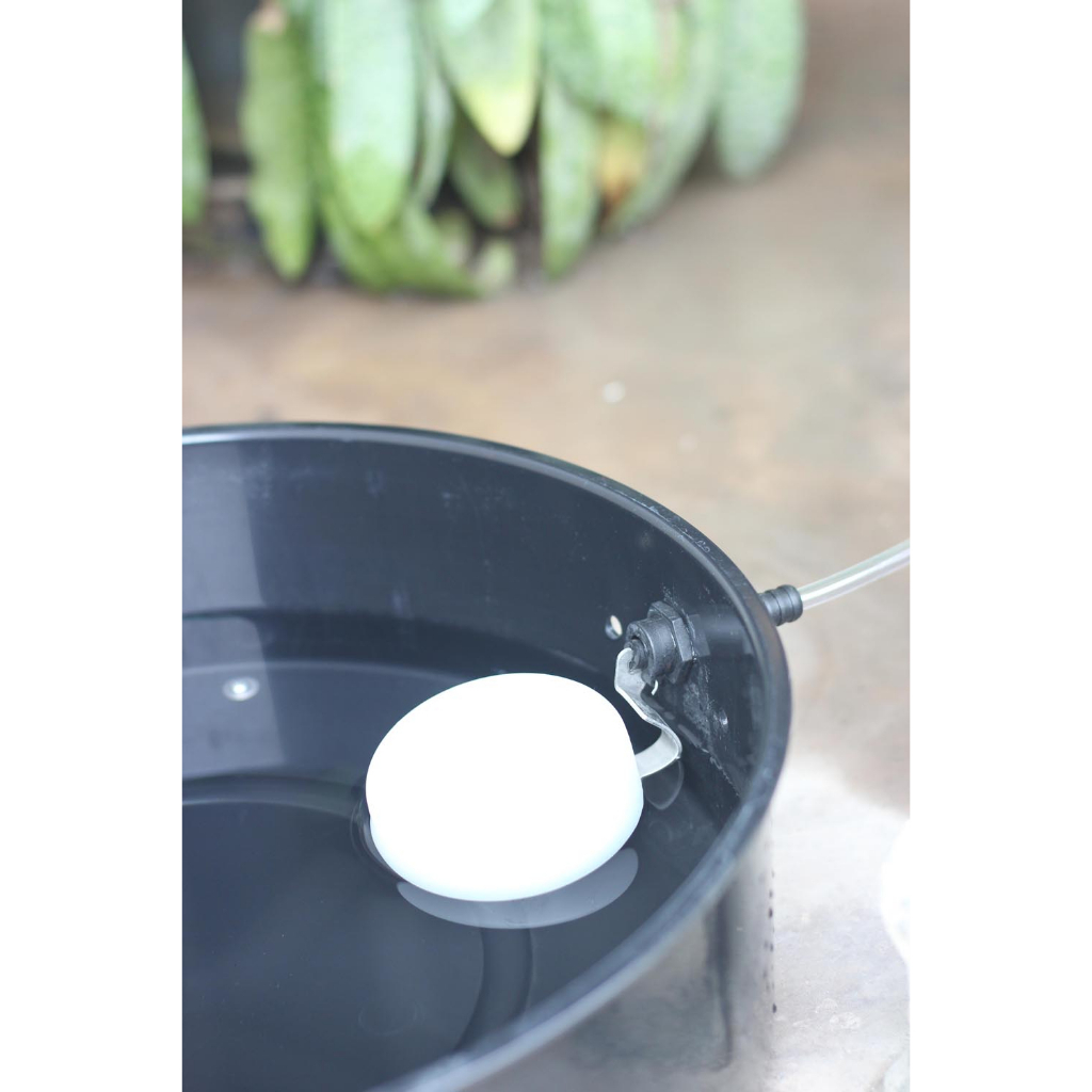 Float Ball Valve Shut Off Swiftlet Farming Humidifier ลูกลอยอะไหล่ ...