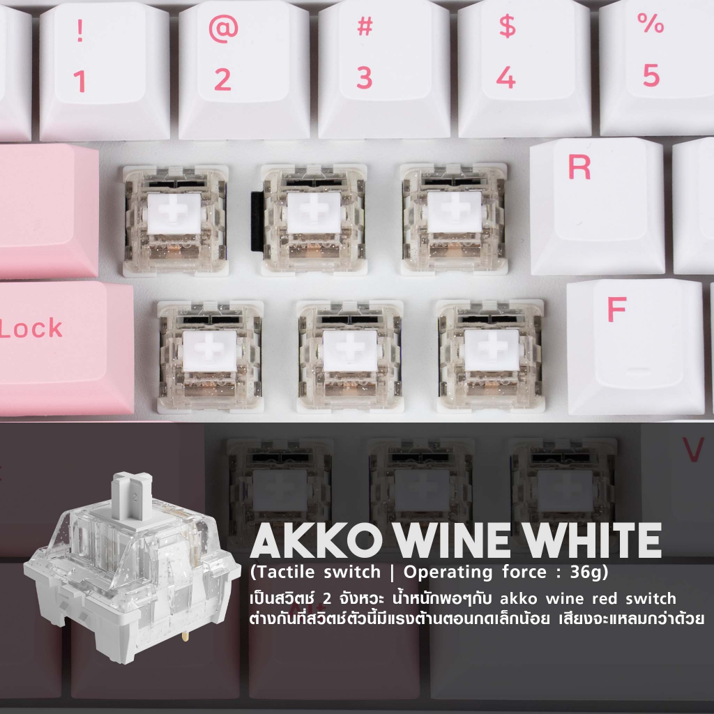 คีย์บอร์ด Akko 3108 Plus Prunus Lannesiana 108 ปุ่ม Wired Mechanical ...