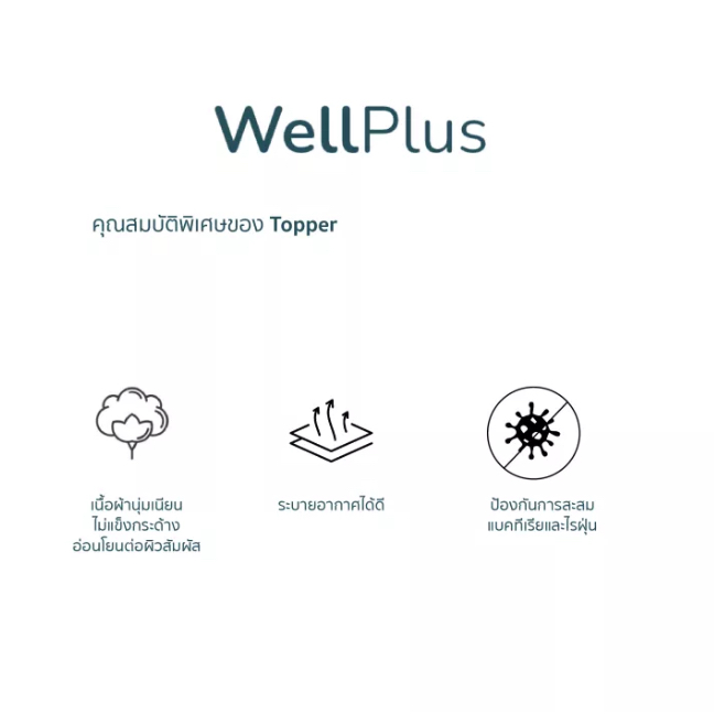 WellPlus Topper Conjugated Siliconized Fiber รุ่น ZPlus O2 หนา 4 นิ้ว ...
