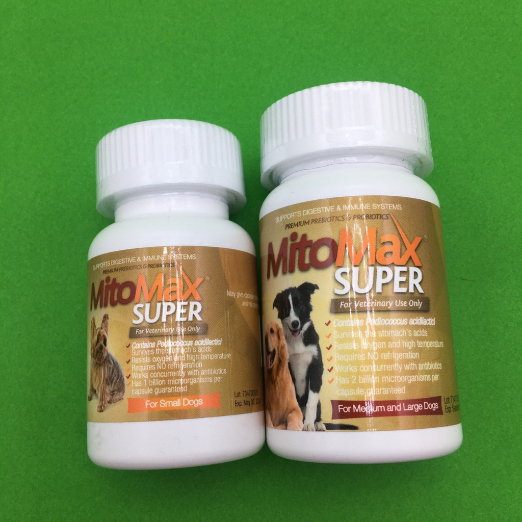 Mito MAx Super สำหรับสุนัข 30 เม็ด เสริมระบบภูมิคุ้มกันของทางเดินอาหาร ...
