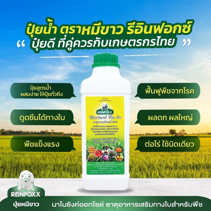 ปุ๋ยหมีขาว รีอินฟอกซ์ [REINFOXX] อาหารเสริมสำหรับพืช | Shopee Thailand