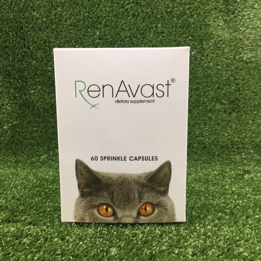 Renavast cat อาหารเสริมโปรตีนสำหรับแมวโรคไต | Shopee Thailand