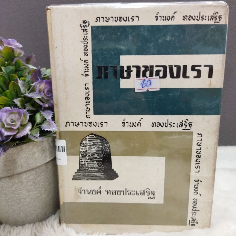 เส้นผมบังภูเขา25315 กฎหมายปืน25316 มันสมอง25317 ปลอดอุบัติเหตุ25318 รู้ ...