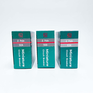 CHANG เมนเบรกเกอร์ 2P MCB แบบ Plugon ขนาด 63A 50A 32A เซอร์กิตเบรคเกอร์ ...