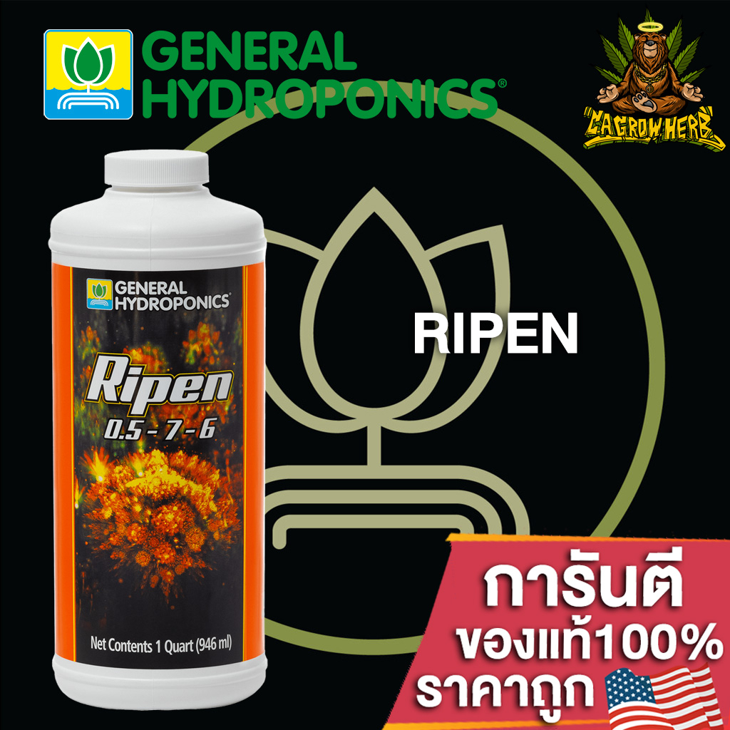 General Hydroponics Ripen เร่งดอกสุกในช่วงสองสัปดาห์สุดท้าย ขนาดแบ่ง 50 ...