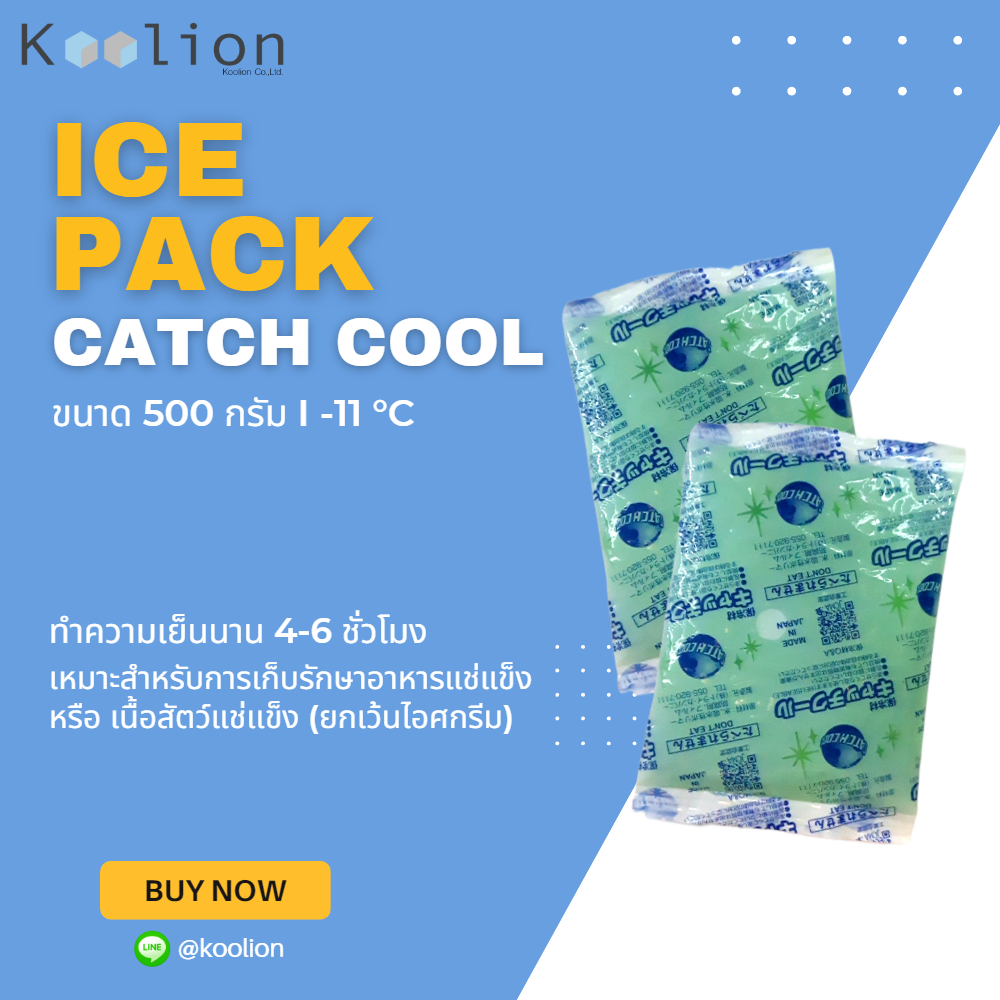 Ice Pack : Catch Cool MCH เจลเก็บความเย็น อุณหภูมิ -11 °C ขนาด 500 กรัม ...