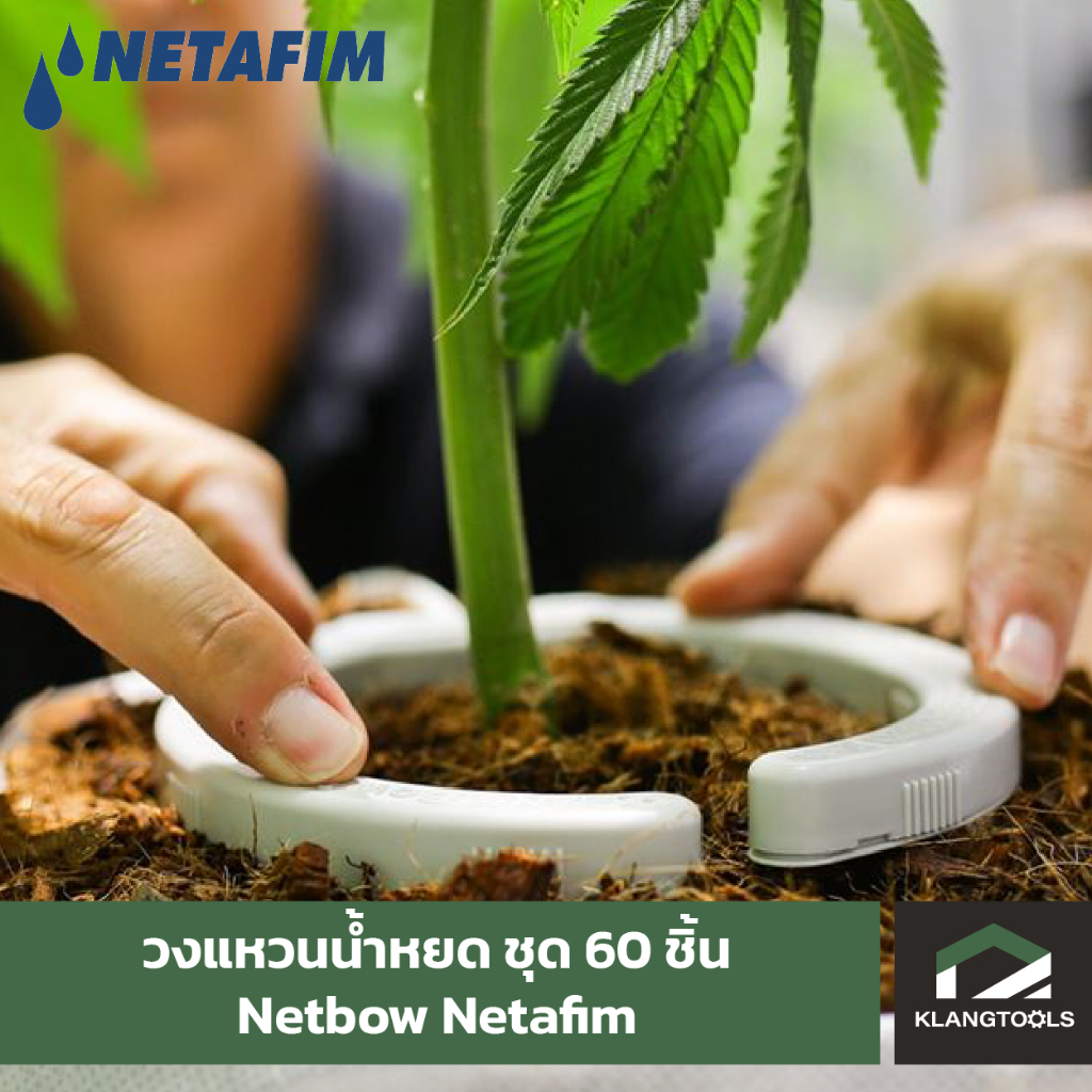 Netafim วงแหวนน้ำหยด Netbow เนต้าฟิม 60 ชิ้น | Shopee Thailand
