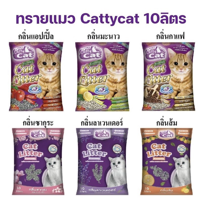 [ 10 ลิตร ] ทรายแมว แคตตี้แคท Catty Cat กลิ่นมะนาว กลิ่นกาแฟ กลิ่นแอปเปิ้ล | Shopee Thailand