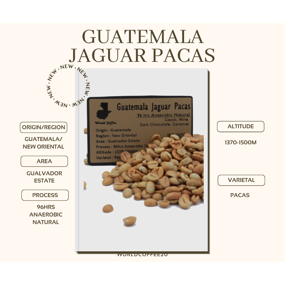 พร้อมส่ง เมล็ดกาแฟดิบ Guatemala Jaguar Pacas 96hrs Anaerobic Natural ...