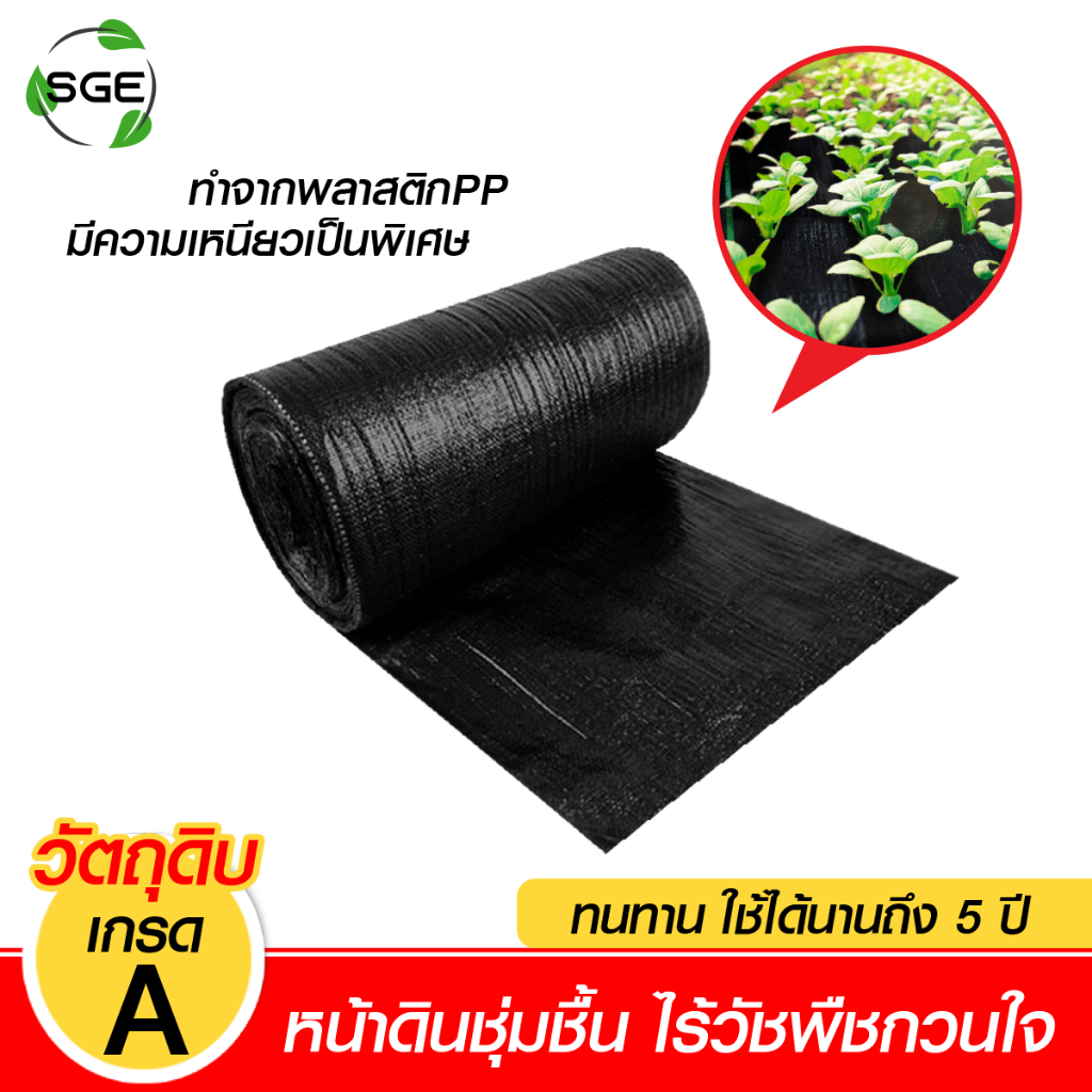 Spring Green Evolution ผ้าคลุมหญ้า คลุมหน้าดิน ผลิตจากพลาสติกที่มีความ ...