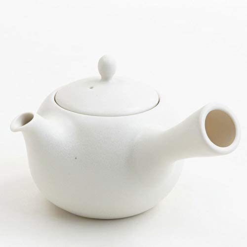 SALIU - YUI Side handle Teapot [made in Japan] | Shopee Thailand