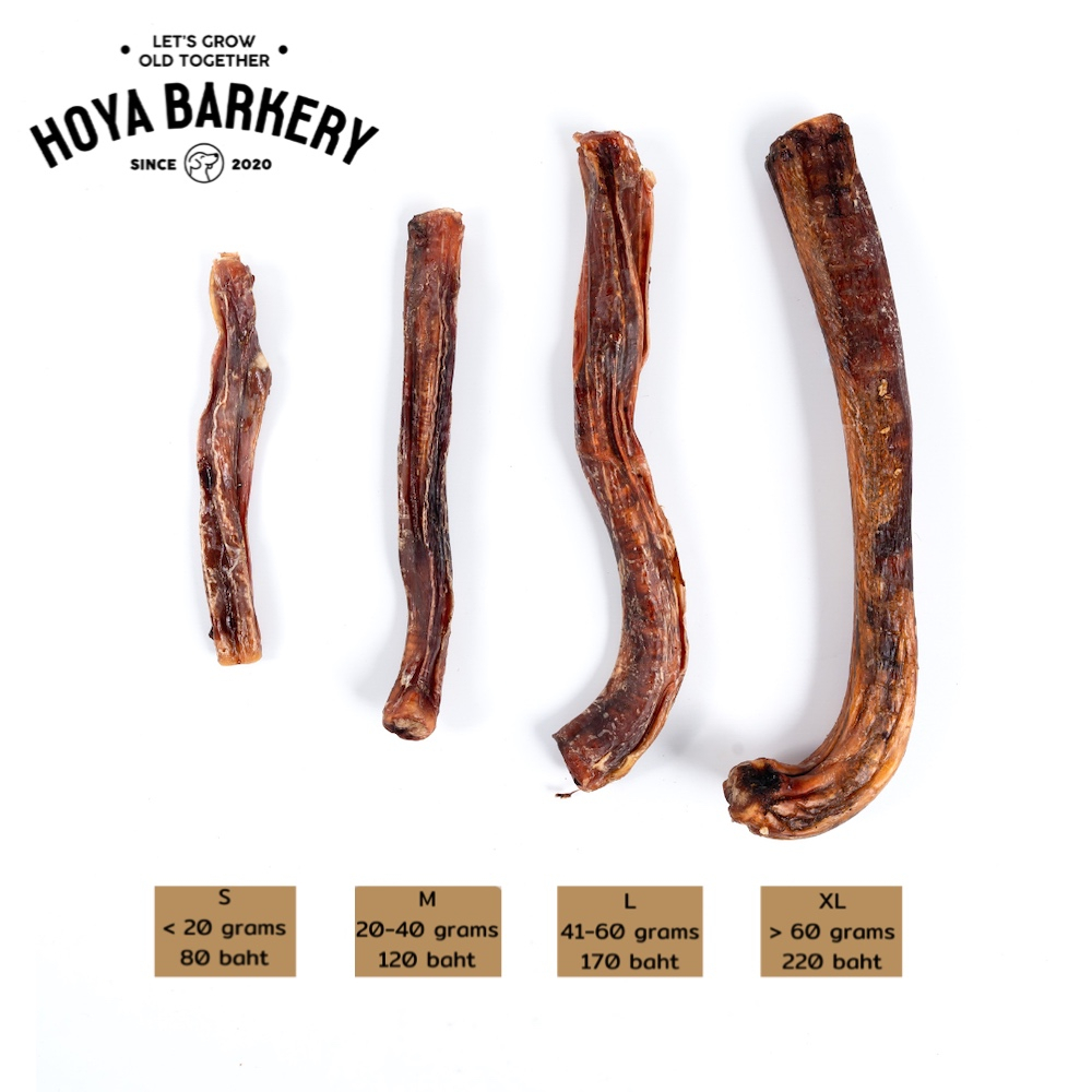 Hoya Barkery Bully Stick M Dog Treat | Shopee Thailand