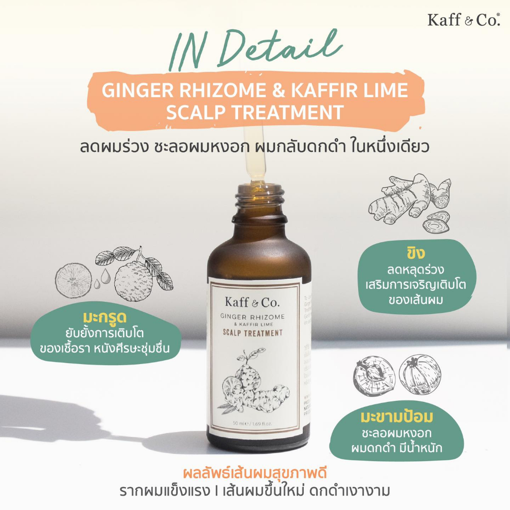 Kaff & Co Shampoo / Conditioner / Scalp Treatment ผลิตภัณฑ์ ดูแล เส้นผม ...