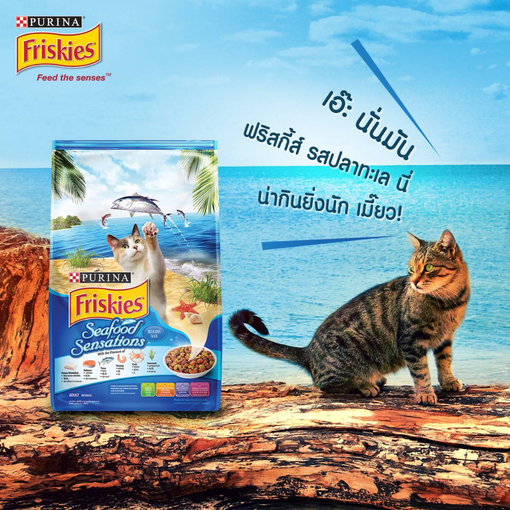 Friskie Seafood ฟริสกี้ส์ อาหารแมวชนิดเม็ด รสซีฟู้ด 6.5 kg | Shopee ...