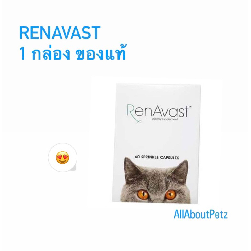 Renavast for cat เรนอวาส วิตามินบำรุงไต สำหรับแมว ของแท้ ถูกที่สุด ...
