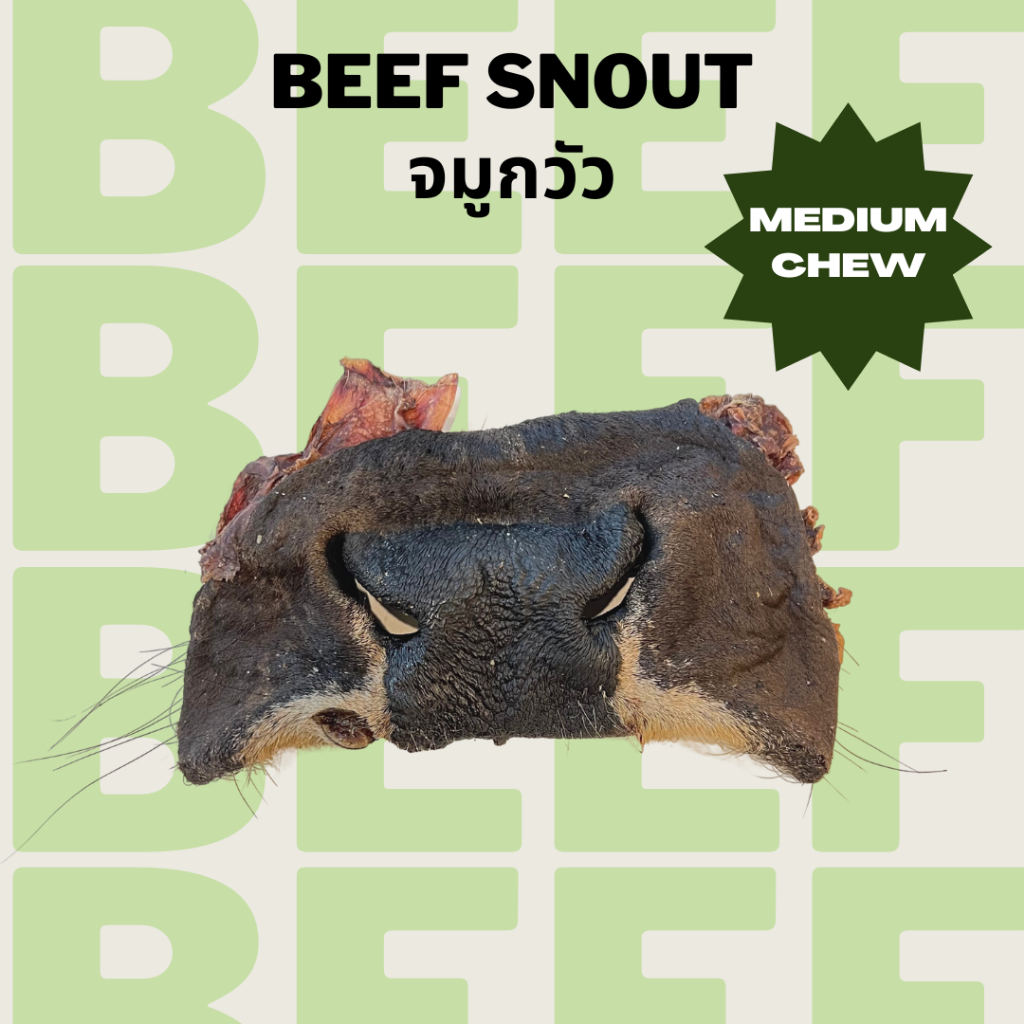 จมูกวัว ขนมหมาแมวอบแห้ง แก้เบื่อ ขัดฟัน Bella's Bites Beef Snout Chew ...