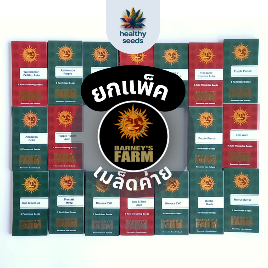 ยกแพ็ค Barney's Farm Seeds เมล็ดค่าย Imported Seeds เมล็ดนำเข้า 100% ...