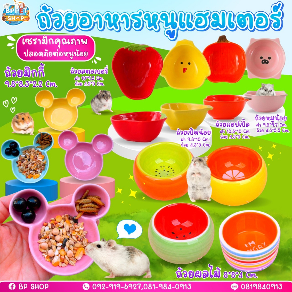 (Ratima) ถ้วยอาหารหนูแฮมสเตอร์ ถ้วยเซรามิค | Shopee Thailand