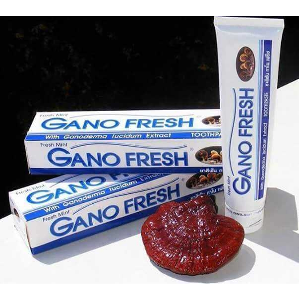 ยาสีฟัน กาโนเฟร็ช ผสมเห็ดหลินจือ Gano Fresh | Shopee Thailand