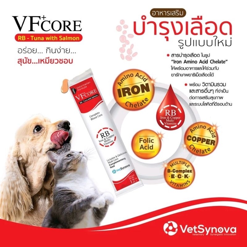 VFcore Lysine VF core 1 ซอง อาหารเสริมในรูปแบบคล้ายขนมแมวเลีย ทานง่าย | Shopee Thailand