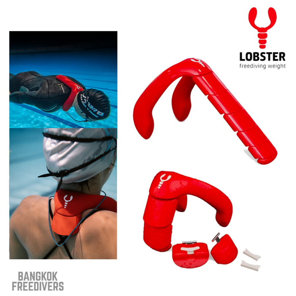 Lobster neck weight l Freediving weight เน็คเวทลอบสเตอร์ สำหรับฟรีไดฟ์ ...