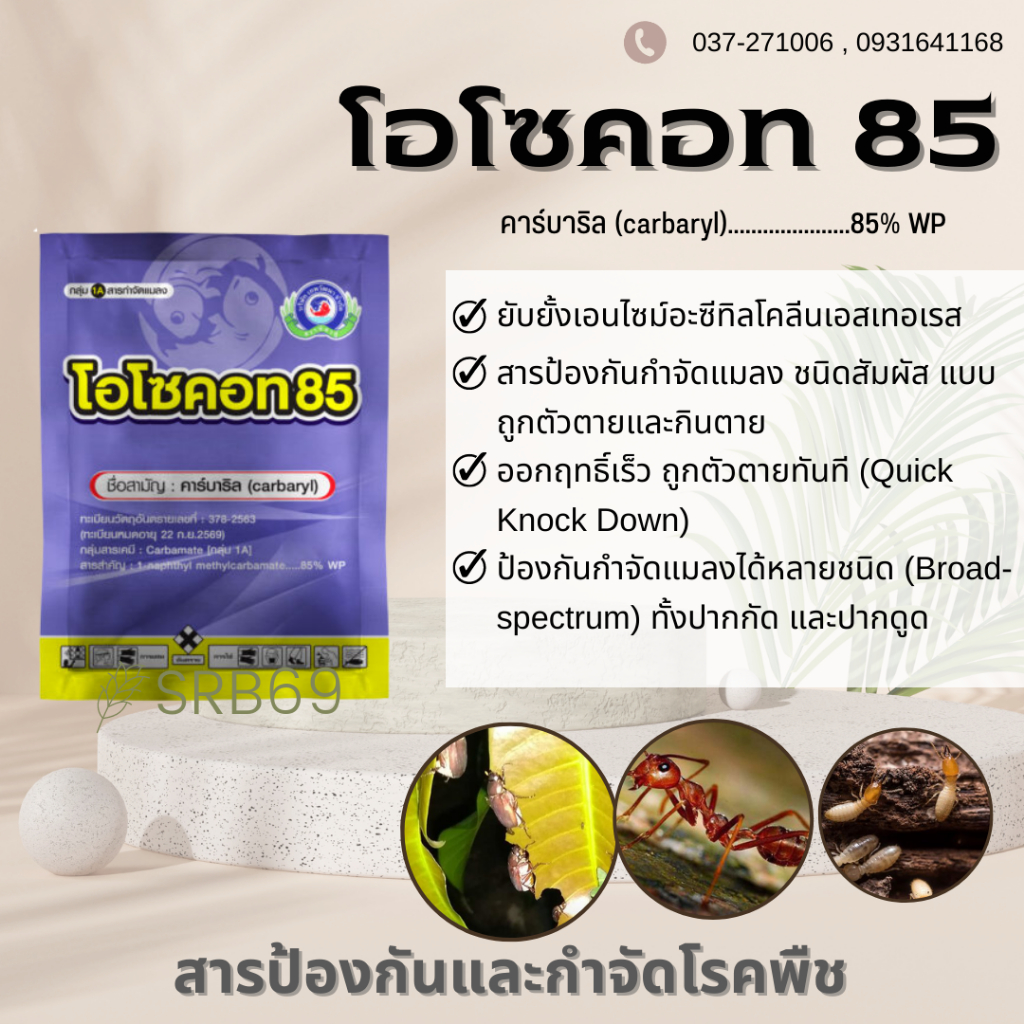 โอโซคอท 85/S85 100 กรัม (คาร์บาริล) ป้องกันกำจัด แมลง ปลวก มด เพลี้ย | Shopee Thailand