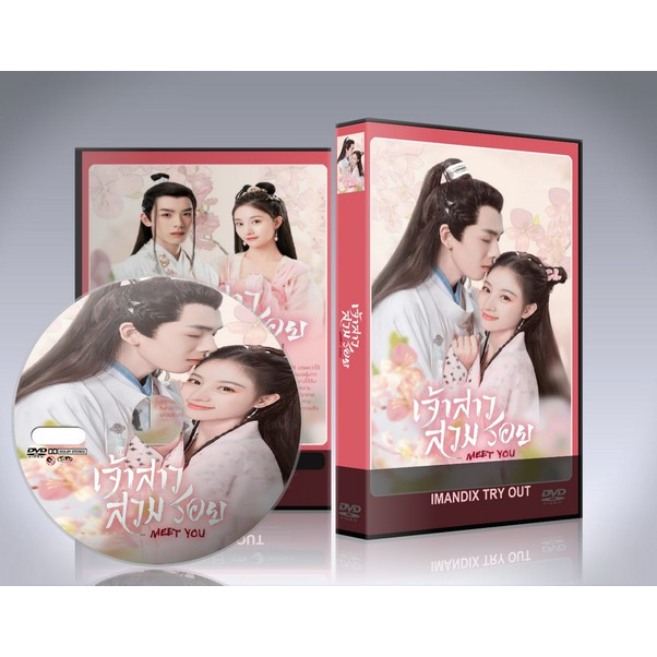 ซีรี่ย์จีน Meet You (2023) เจ้าสาวสวมรอย DVD 2 แผ่นจบ.(พากย์ไทย) | Shopee Thailand